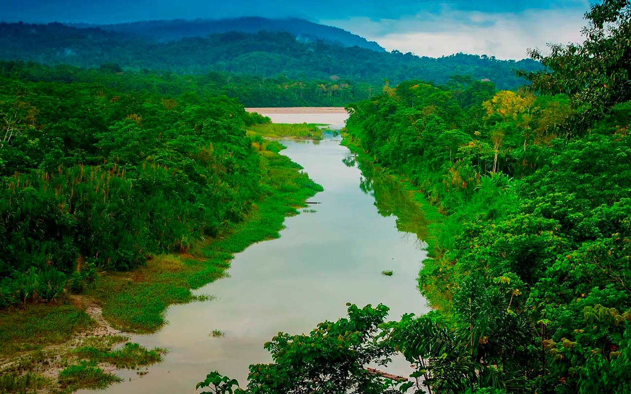 Río Amazonas, Guía de Viajes Río Amazonas | Travel 1 Tours