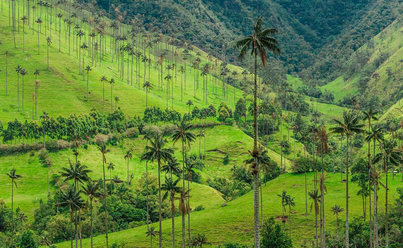 Best Places To Visit In Colombia | Travel 1 Tours